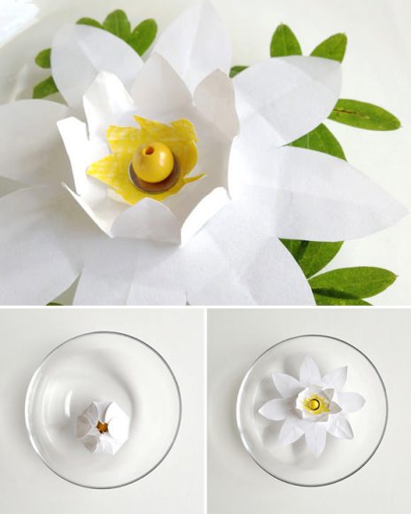 DIY Magic Blooming Paper Lily | Handmade Charlotte