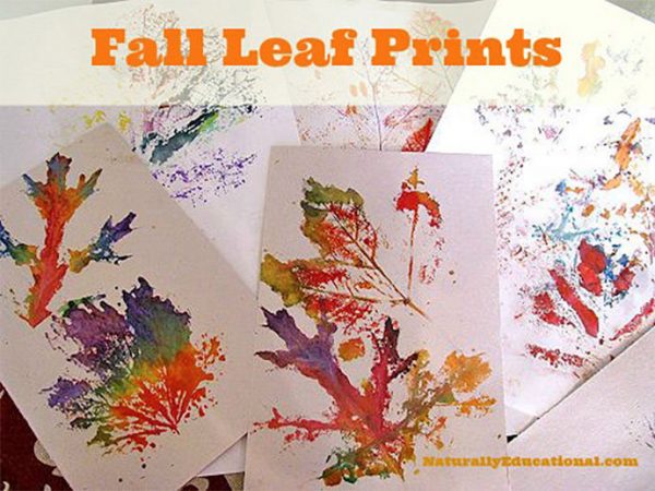 7 Ways To Turn Your Fall Leaf Collection Into Art | Handmade Charlotte
