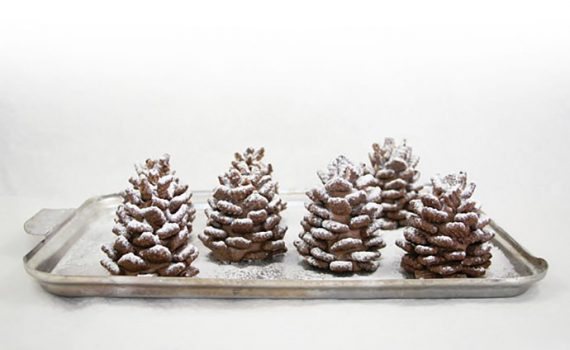 Quick and Easy Snowy Chocolate Pinecones Recipe