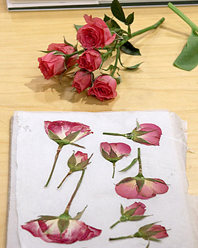 6 Fun Ways To Use Pressed Flowers Handmade Charlotte