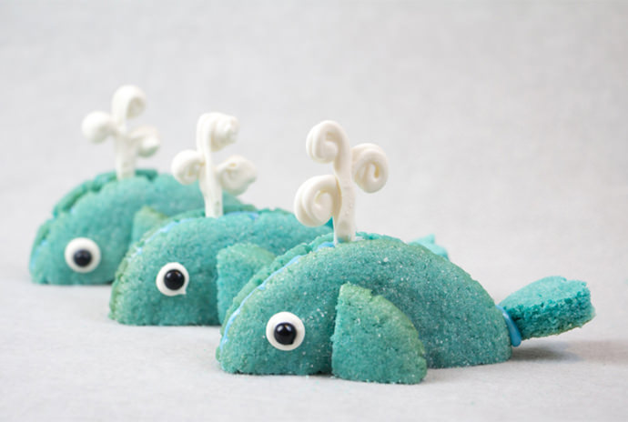 Whale Cookies | Handmade Charlotte