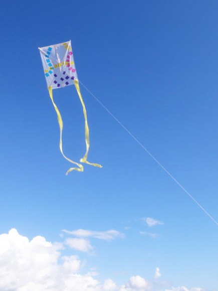 How to Make the World's Best Handmade Kite | Handmade Charlotte