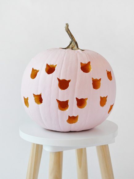 DIY Cat Drilled Pumpkins | Handmade Charlotte