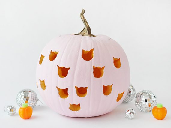 DIY Cat Drilled Pumpkins | Handmade Charlotte