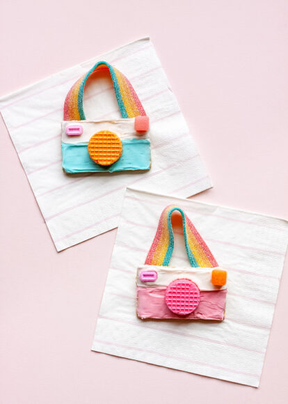 Edible Camera Treats | Handmade Charlotte